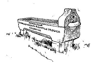 Drinking and Cattle Trough by Ann Shires